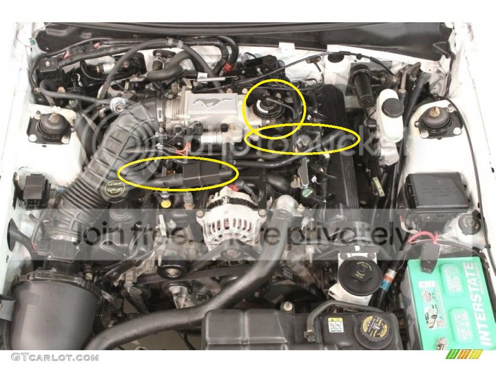 Engine Bay cleanup | SN95Forums The Only SN95 1994-2004 Dedicated Ford ...