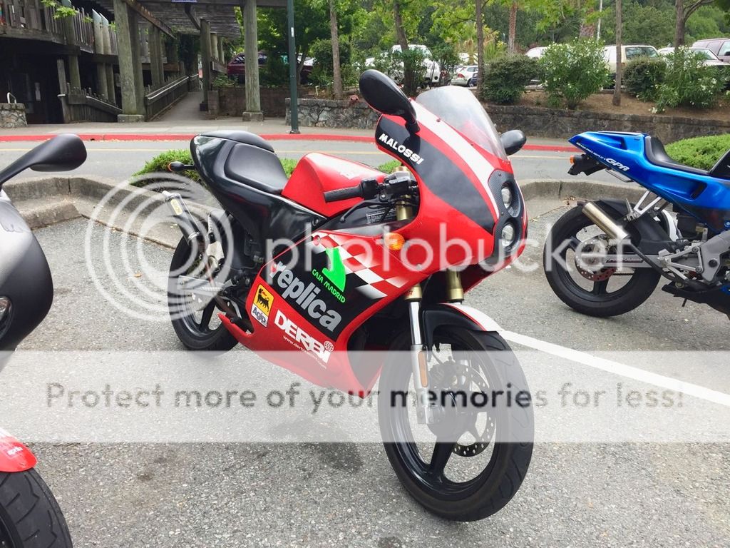 GPR Camp 2017 June 5th, 6th, 7th, and 8th - Page 5